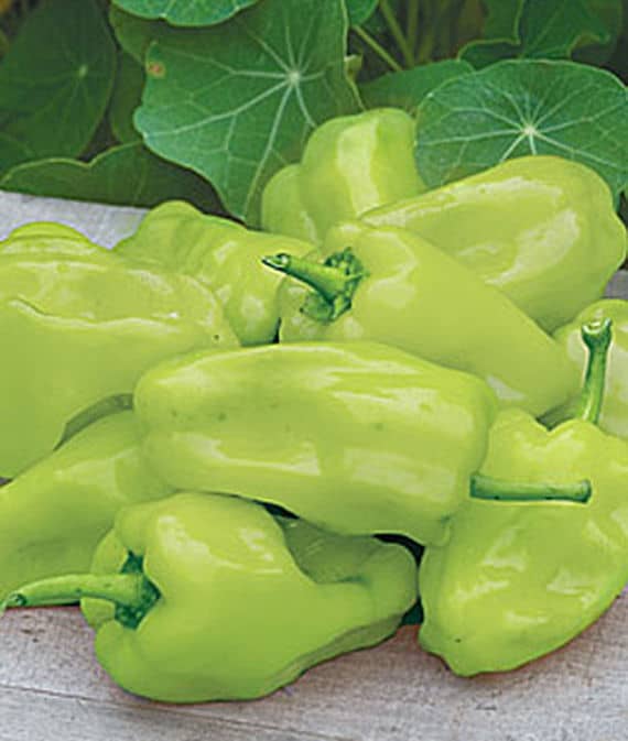 Peppers, Sweet - Longfellow's Garden Center
