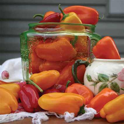 Peppers, Sweet - Longfellow's Garden Center