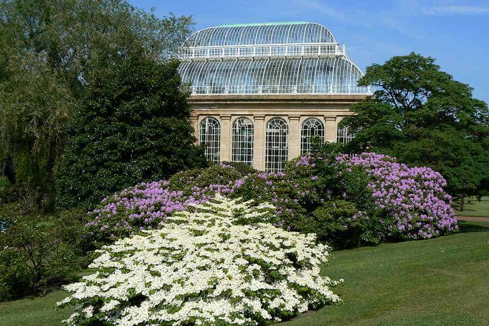 Gardens of Scotland Tour - Travel Day - Longfellow's Garden Center